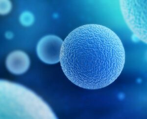 Resources – Labskin
