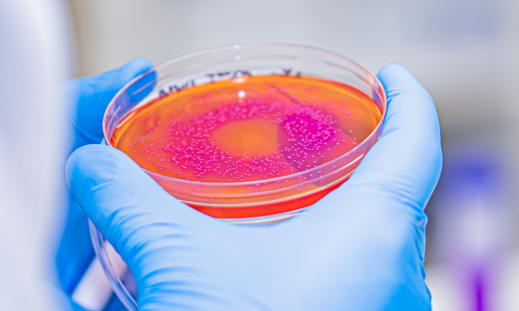 Labskin – Pioneering the Development of Skin Science